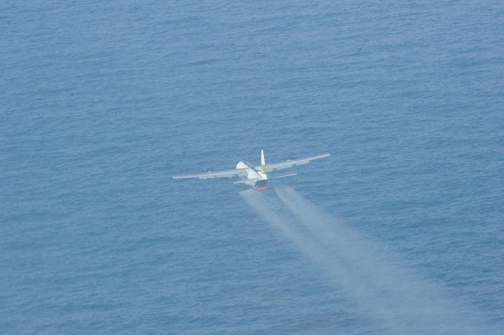 Understanding chemical dispersants is critical to whale population