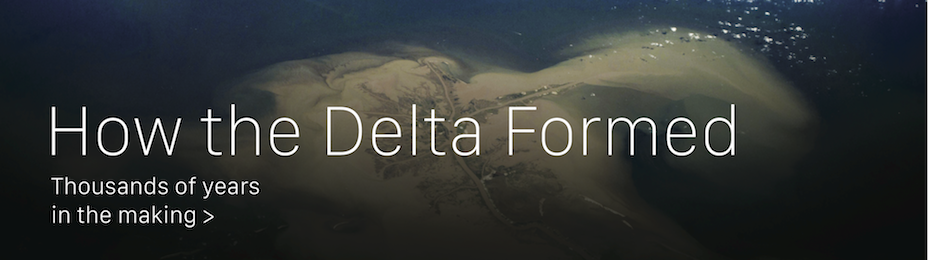 How the Mississippi River Delta Formed | Restore the Mississippi River ...